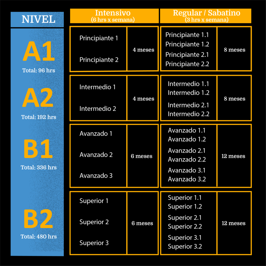 Cursos de francés para adultos – Alianza Francesa Guadalajara
